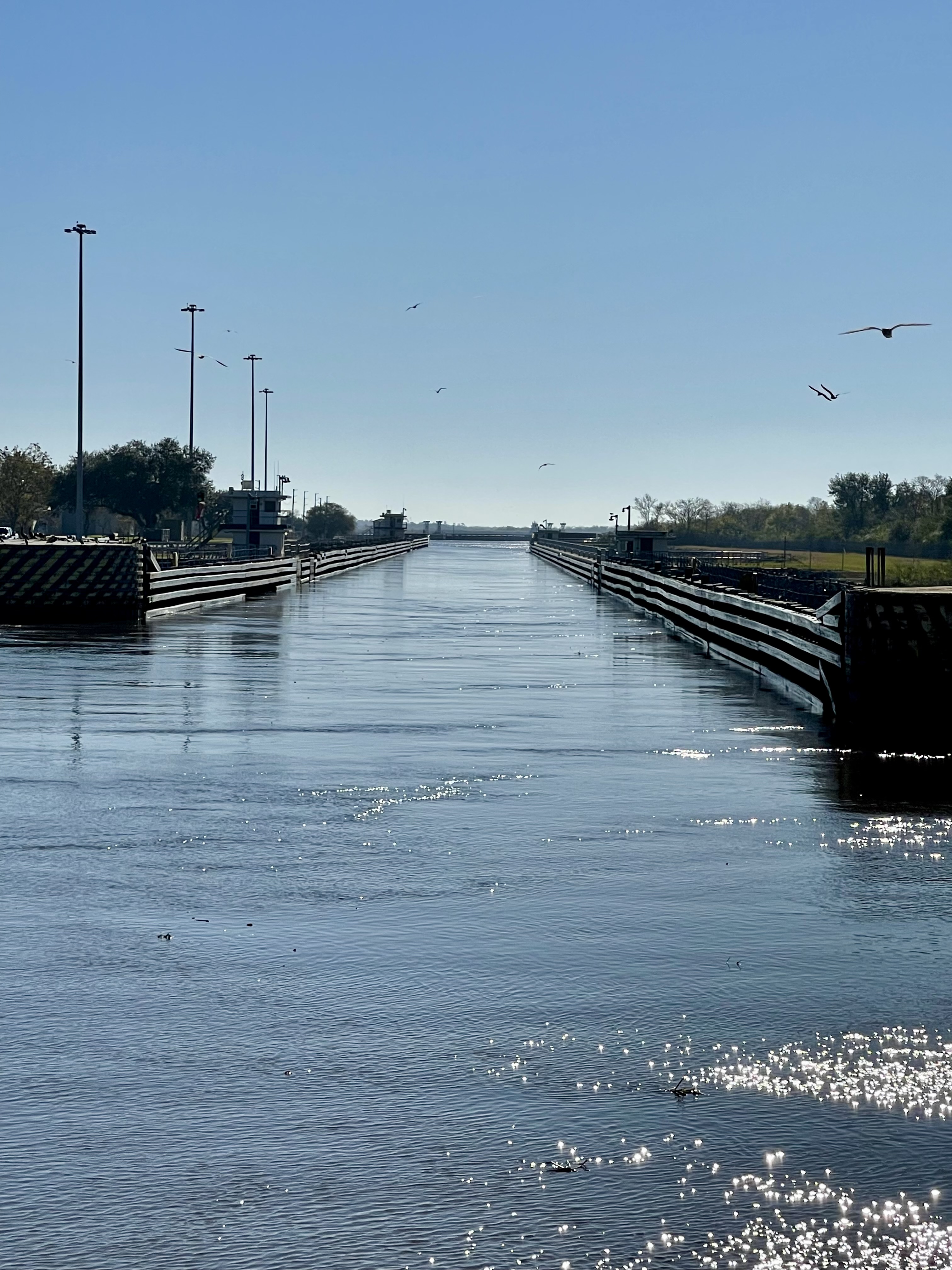 Day 4 (12/11/25) – Calcasieu River Oxbow to Mermentau River – Biscuit ...